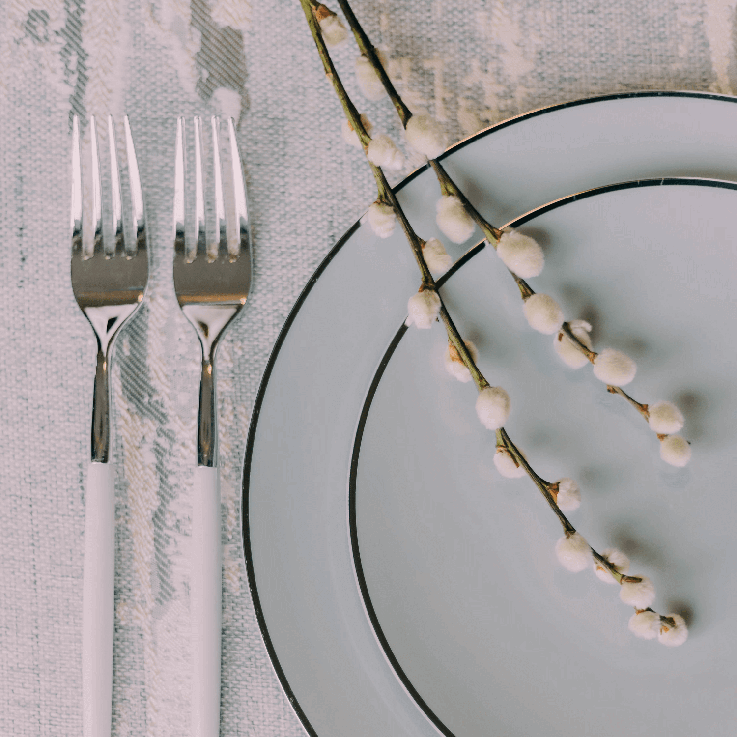 10 In. Elegant Sage Classic Design Plastic Plates