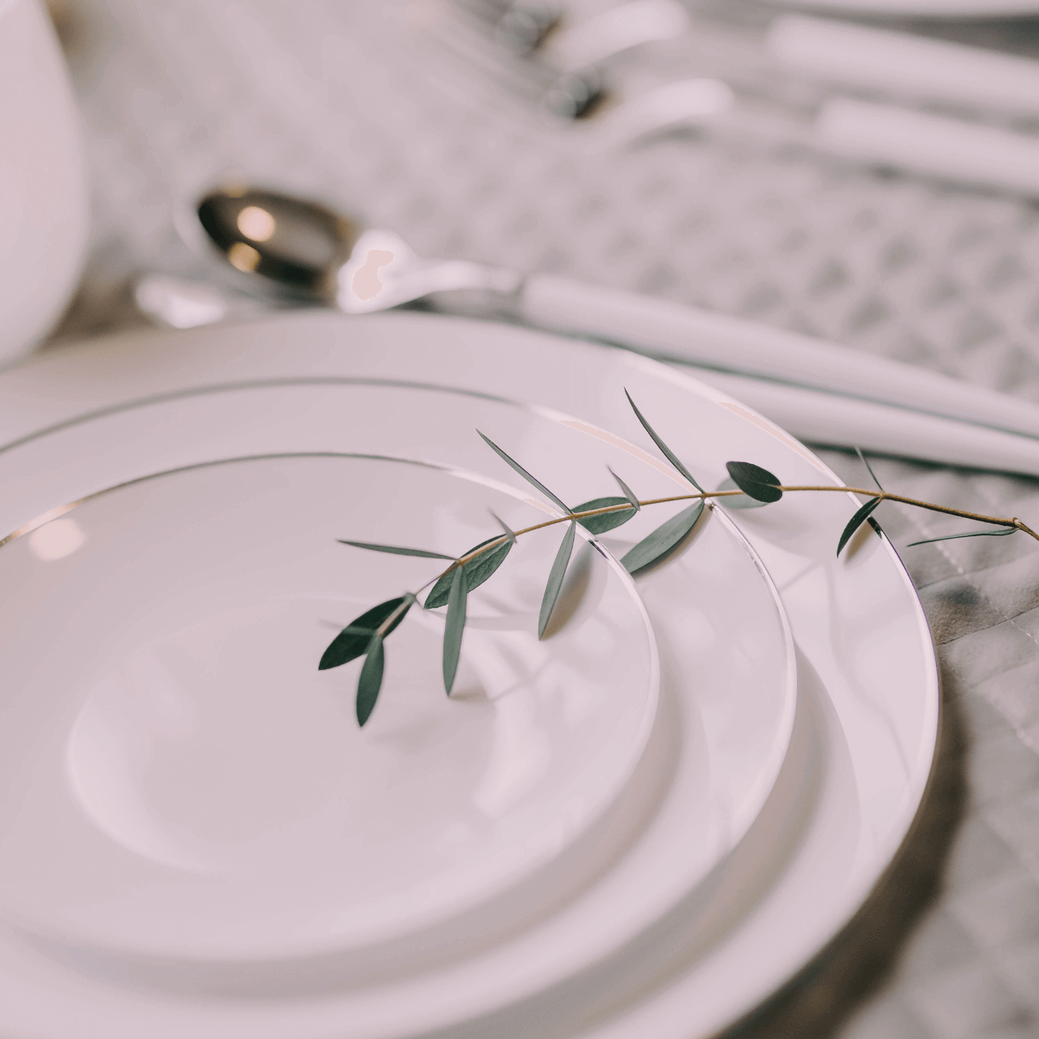 Elegant 8" Classic Silver Design Plates - 10 Ct.