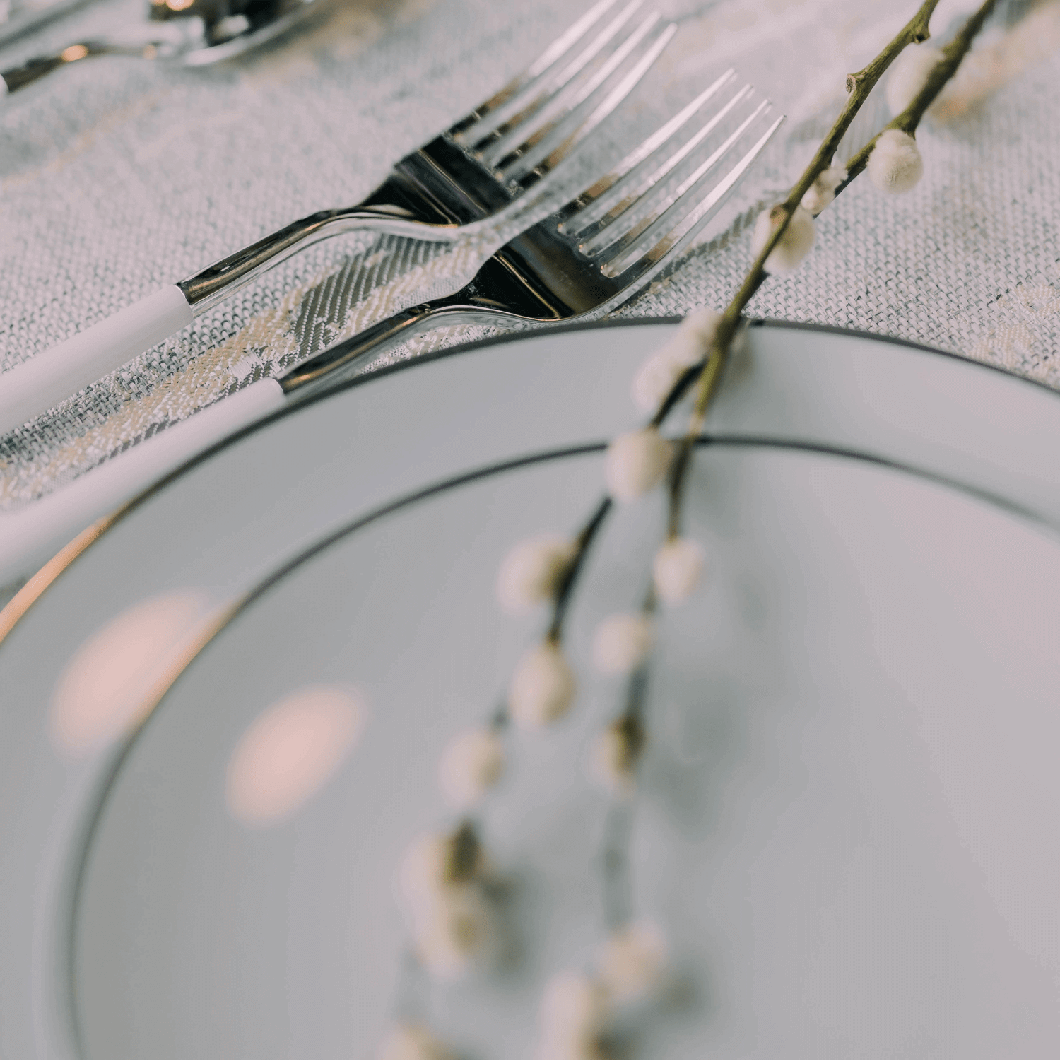 10 In. Elegant Sage Classic Design Plastic Plates