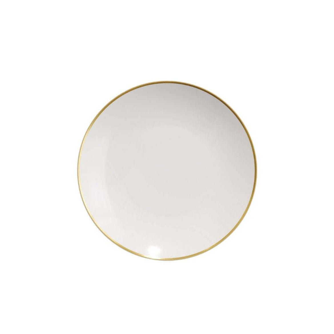 Classic Elegant Plastic Plates