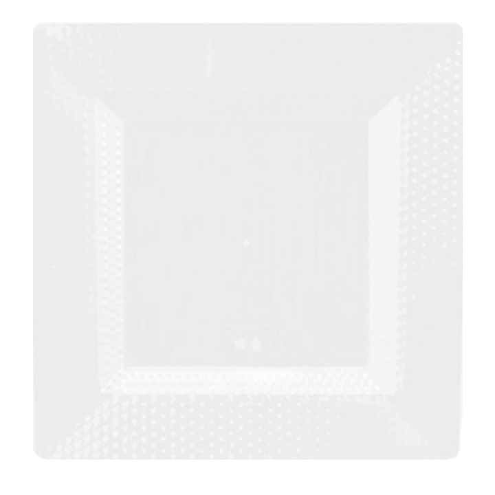 Large Plastic Plates Square